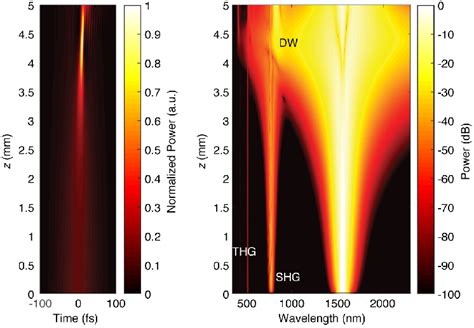 Numerical Modeling Of Pulse Propagation Dynamics In A 05 Cm Long Ln