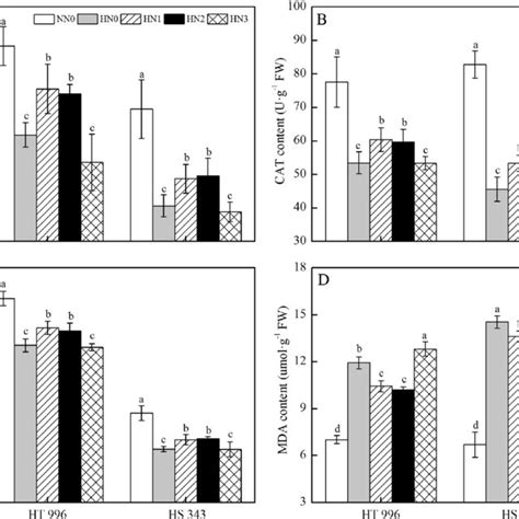 Effects Of Nitrogen Forms On Nitrogen Content Of Flag Leaves Nn0