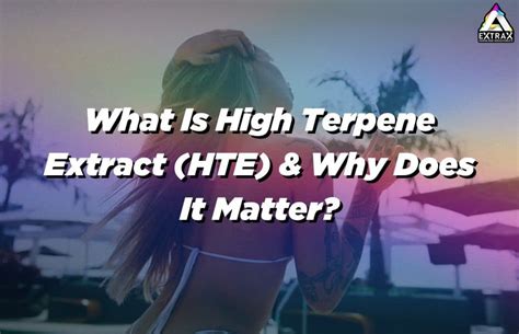 What Is High Terpene Extract And What Does It Mean