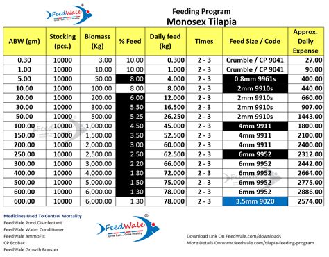Tilapia Feeding Program Feedwale