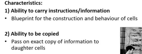 Ch6 Dna And Rna Structure Flashcards Quizlet