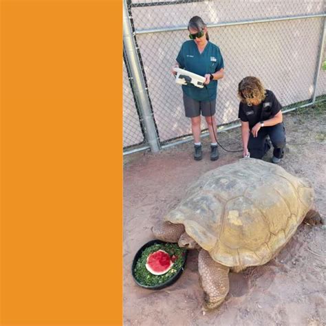 Alberto Fera Posted On Linkedin