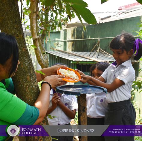 Polymath International School Navinna