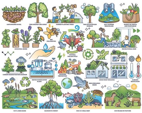 Ecosystem Services Items With Environment Protection Outline Collection