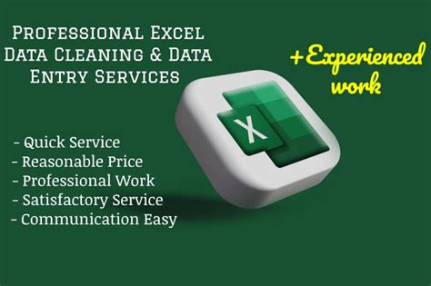 do excel wizardry expert data entry and cleaning by tarun garg032