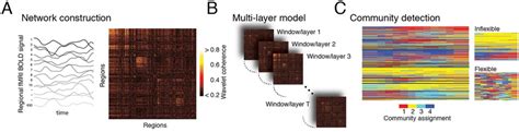 schematic figure illustrating network construction multi layer network