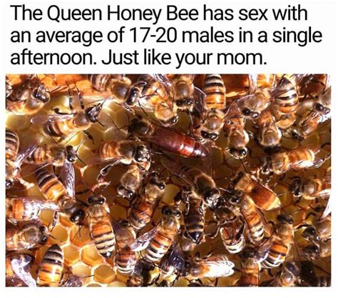 37 Funny Memes To Keep You Laughing Ebaums World