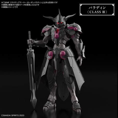 30 Minutes Fantasy Class Up Armor Rosan Paladin Accessory Set