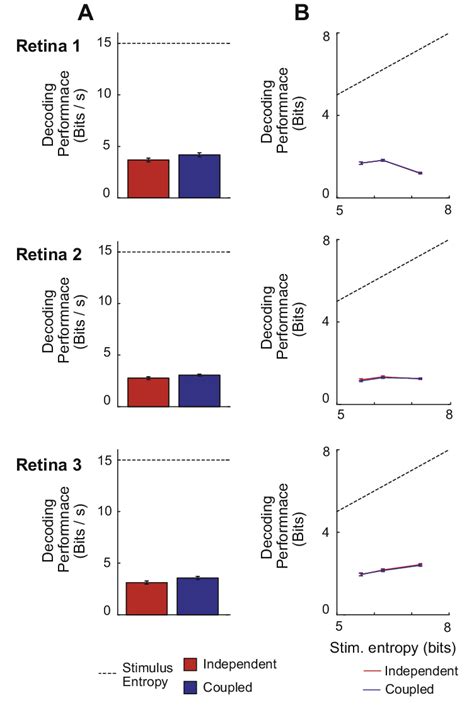 The Contribution Of Correlations Noise Correlations To Information Download Scientific