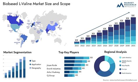 Biobased L Valine Market Size And Projections