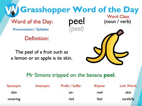 Mondays Grasshopper Word Of The Day Vocabulary Ninja