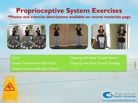 Ppt Fall Risk Reduction Program Designing An Exercise Program Module