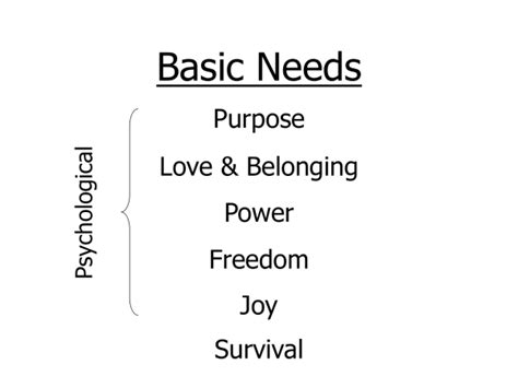 Glasser Basic Needs The Better Plan