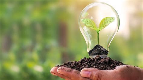 Economia Verde entenda o conceito e seus benefícios