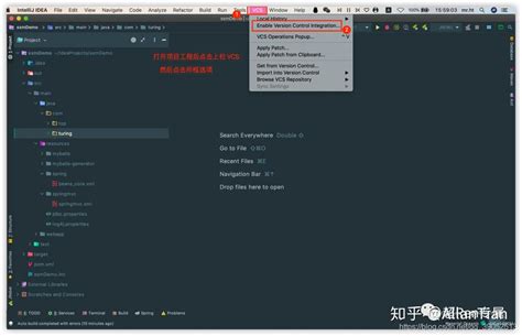 如何使用idea将代码提交至svn 知乎