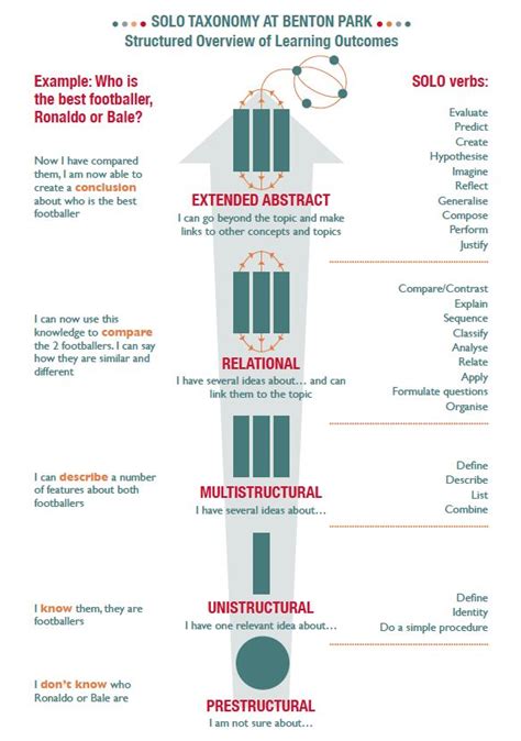 Solo Taxonomy Explained