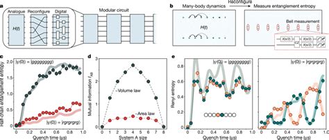 Dynamic Reconfigurability For Hybrid Analoguedigital Quantum Download Scientific Diagram