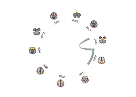 Circular Plots In R And Adding Images Dr Mowinckels