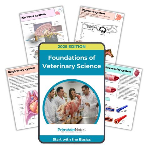 Prime Vet Notes
