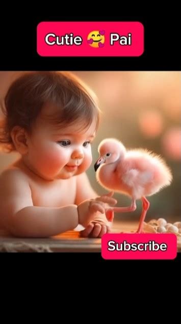 Cutie 🥰 Pai With His Chicken 🐔short Trendingshorts Love Youtube