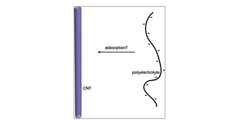 Controlling Polyelectrolyte Adsorption Onto Carbon Nanotubes By Tuning