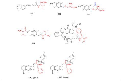 Alkaloids Amino Acid Derivatives Download Scientific Diagram