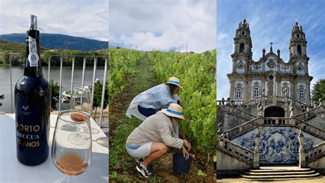 Douro Valley Wine Tour