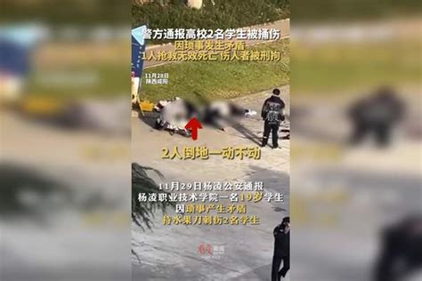 因琐事发生矛盾警方通报高校2名学生被捅伤 1人抢救无效死亡，伤人者被刑拘 陕西一高校男生持刀伤人