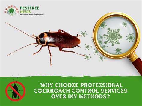 Why Choose Cockroaches Control Cranbourne Over Diy Methods