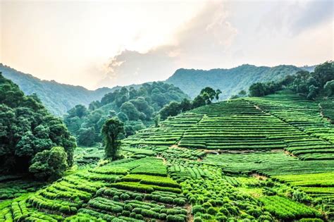 أسماء بنات تدل على الهدوء مجلة سيدتي