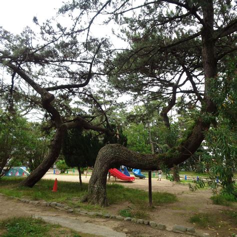 Sumiyoshi Park 2026 All You Need To Know Before You Go With Photos Tripadvisor