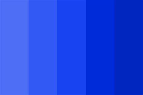 Royal Blue Color Swatch