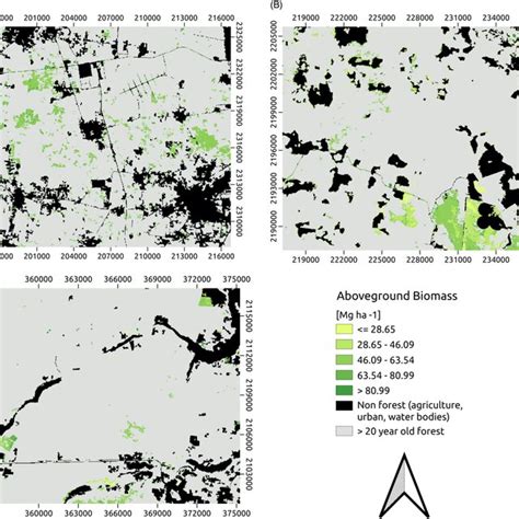 Spatial Distribution Of Estimated Aboveground Biomass Of Young Forest