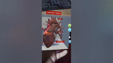 Techxr Arvr Course Week4 Project Youtube