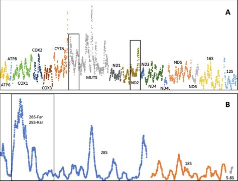 Sliding Window Analysis Of Relative Overall Genetic Diversity Based On