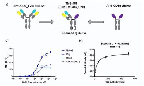 阿斯利康13亿美元收购cd19cd3双抗，azd0486首次国内申报临床 知乎