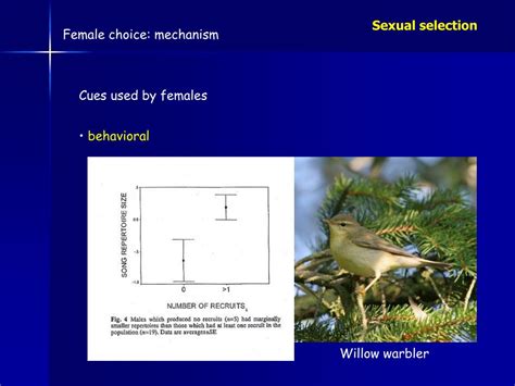 PPT Evolution Of Extra Pair Copulation Sexual Selection And Mating Systems PowerPoint