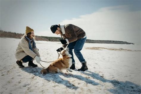 Quel Chien Choisir En Fonction De Son Mode De Vie AnimauxFun