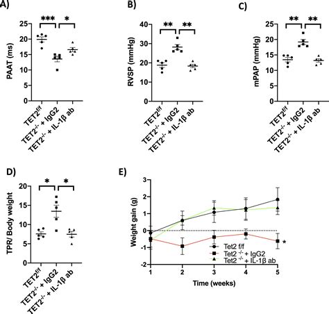 Novel Mutations And Decreased Expression Of The Epigenetic Regulator