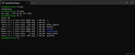 Windows 使用 Linux 子系统轻轻松松安装多个linux 阿里云开发者社区