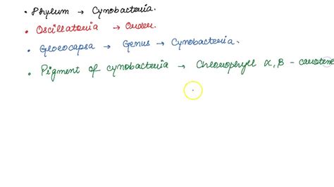Solved When We Classify Organisms As Cyanobacteria What Taxonomic Level Is That What