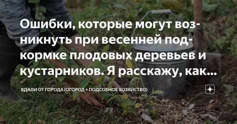Ошибки которые могут возникнуть при весенней подкормке плодовых деревьев и кустарников Я