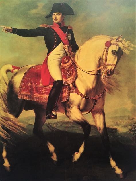 Marengo Napoleons War Horse Horseaddict