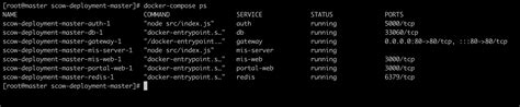 Mis Deployment Failed The Access Page Displays Internal Server Error