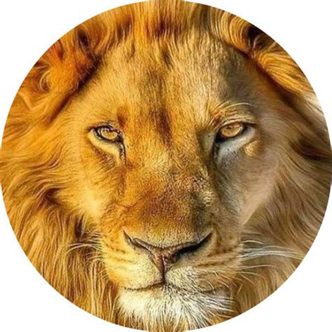 Zodiarch Day 6 2 Leo By Penasteria On Deviantart