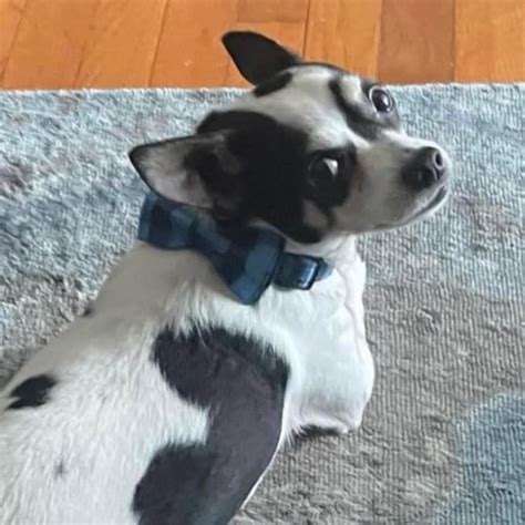 Amys Closet Amygio Poshmark