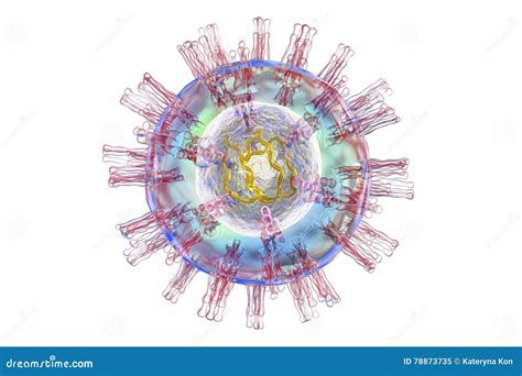 Herpes Structure Herpes Virus Infection Sexually Transmitted Diseases