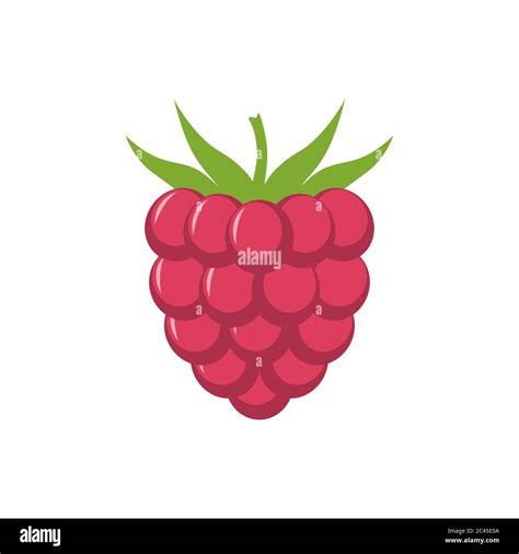 Cartoon Raspberry