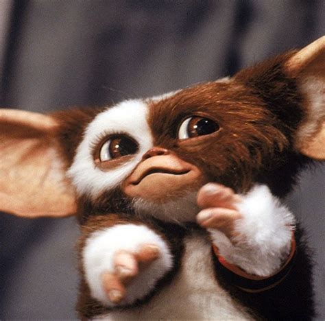 Gremlin Memes