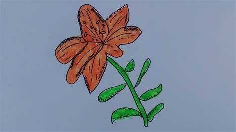 Lily Pad Flower Drawing At PaintingValley Explore Collection Of